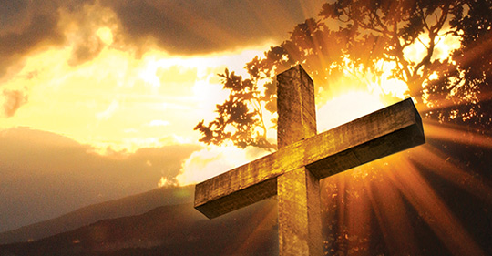 Triumph in tragedy-MM-campaign | Myanmar Our Daily Bread